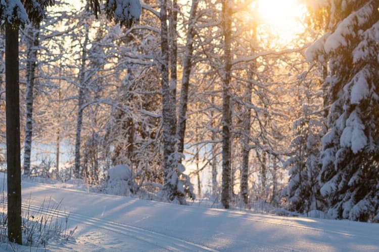 Museums | Orsa Dalarna