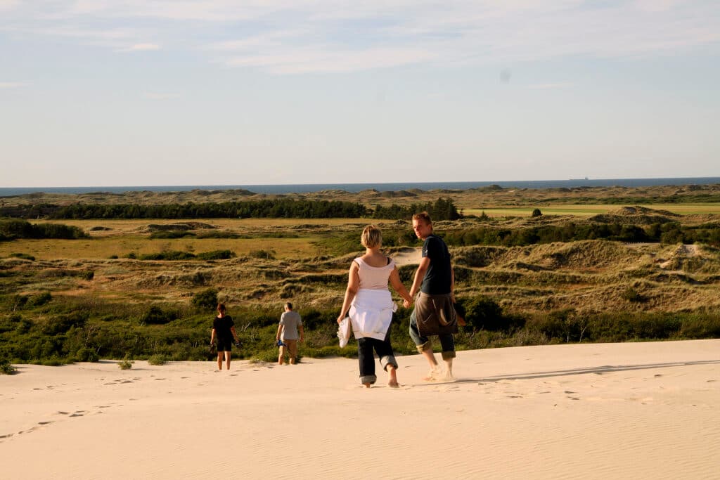 Råbjerg Mile – The country’s largest migrating dune | First Camp
